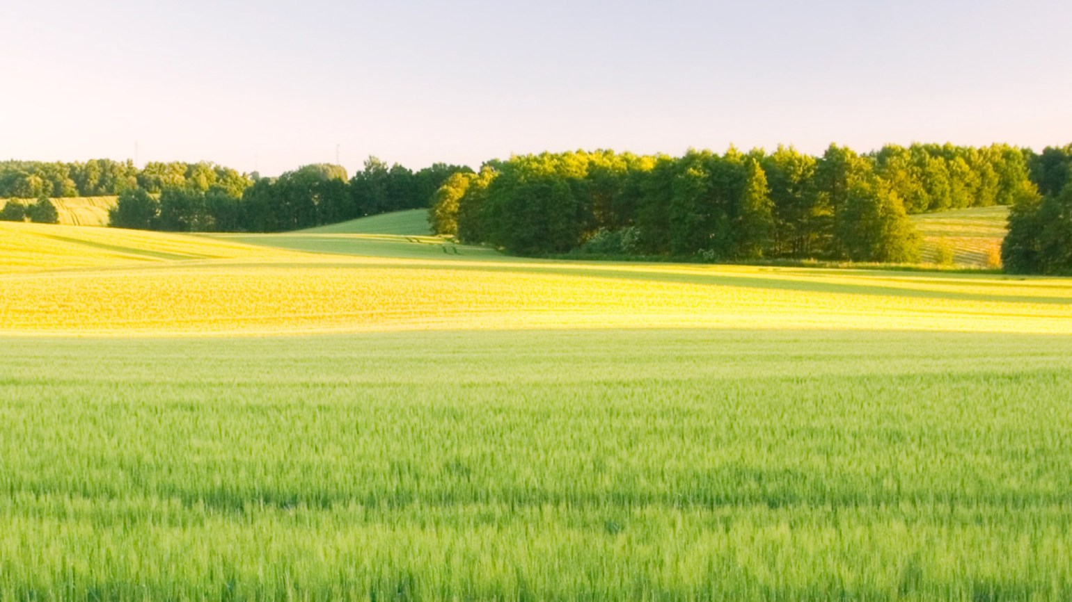 BASF diskusijų studija AGROVIZIJA parodoje - BASF Agro Lietuva