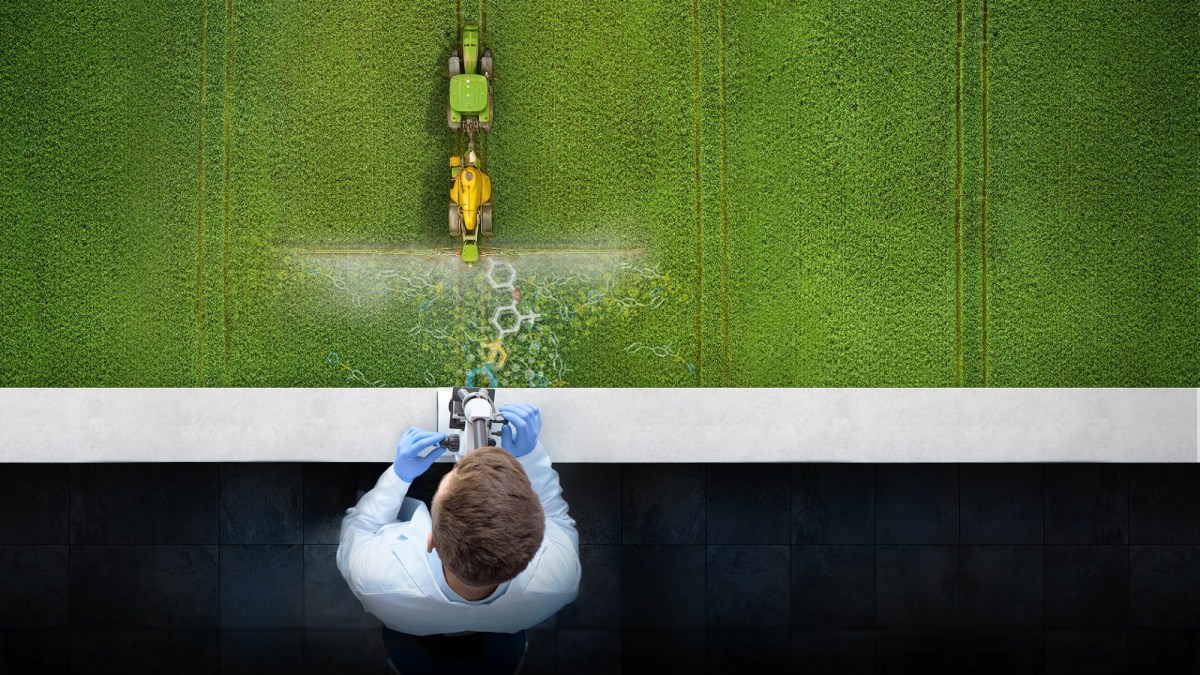 Balaya® - BASF Agro Lietuva